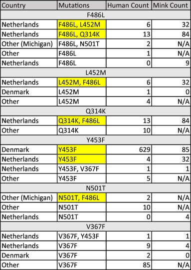Covid mutations during ongoing viral transfer from humans